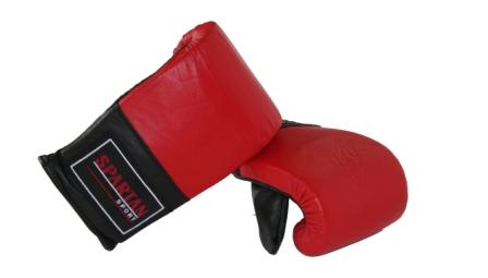 Box: Boxovací rukavice pytlové SPARTAN